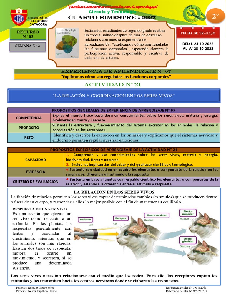 Actividad N° 21: "La Relación Y Coordinacion en Los Seres Vivos" | PDF | Aprendizaje | Ciencia ...