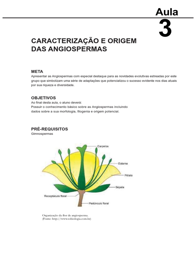 Texto Sobre Angiospermas | PDF | Flores | Pólen