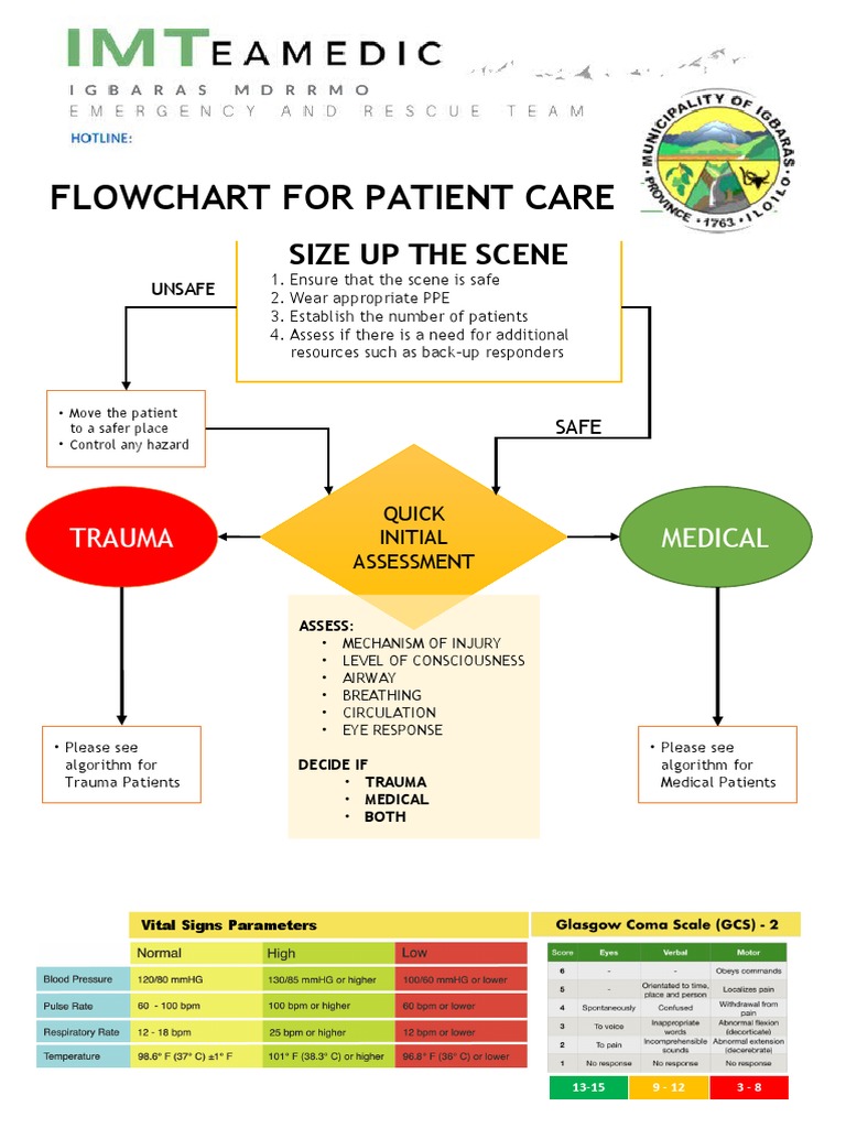 Emt Flowchart | PDF