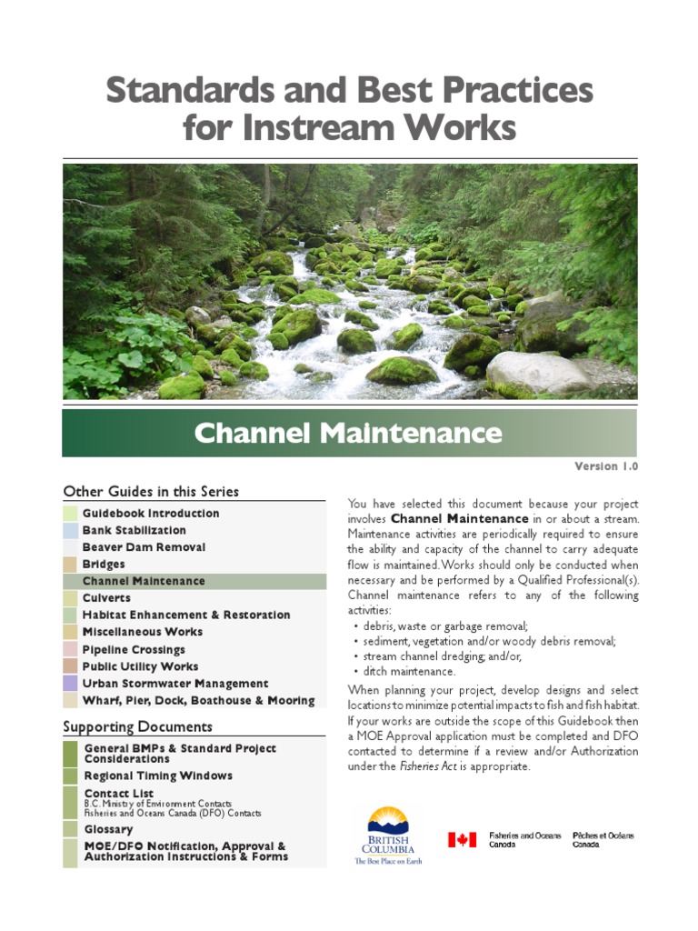 Channel Maintenance | PDF | Riparian Zone | Stream