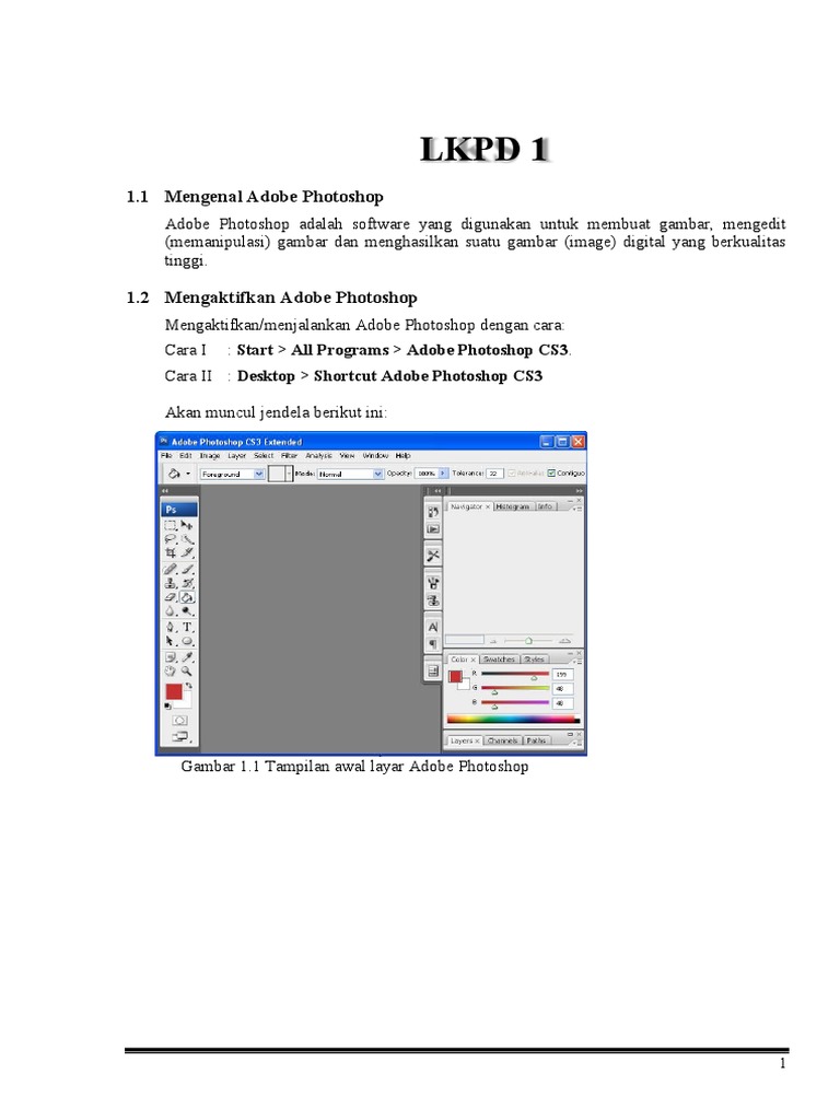 Materi Disain Grafis Berbasis Bitmap | PDF