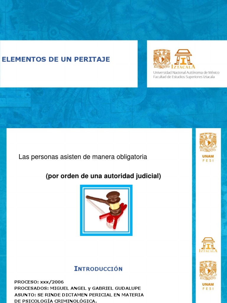 Elementos de Peritaje | PDF