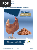 Hyline Brown STD - ENG | PDF | Nutrition | Diet & Nutrition