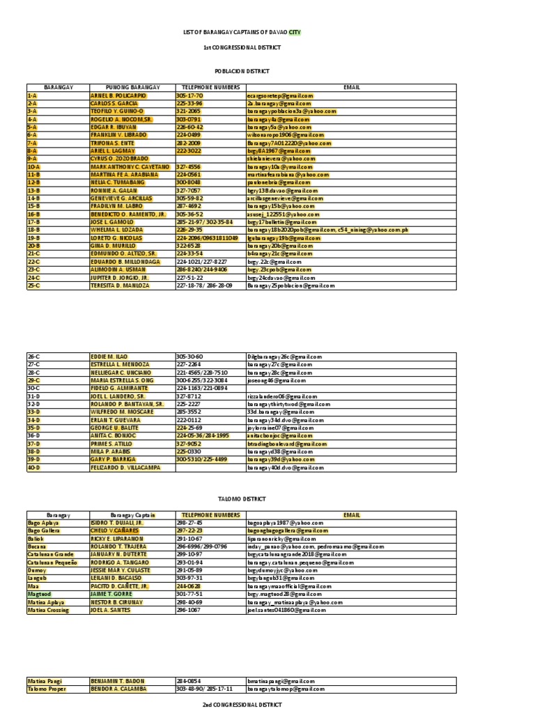 Davao City Barangay Captains List | PDF