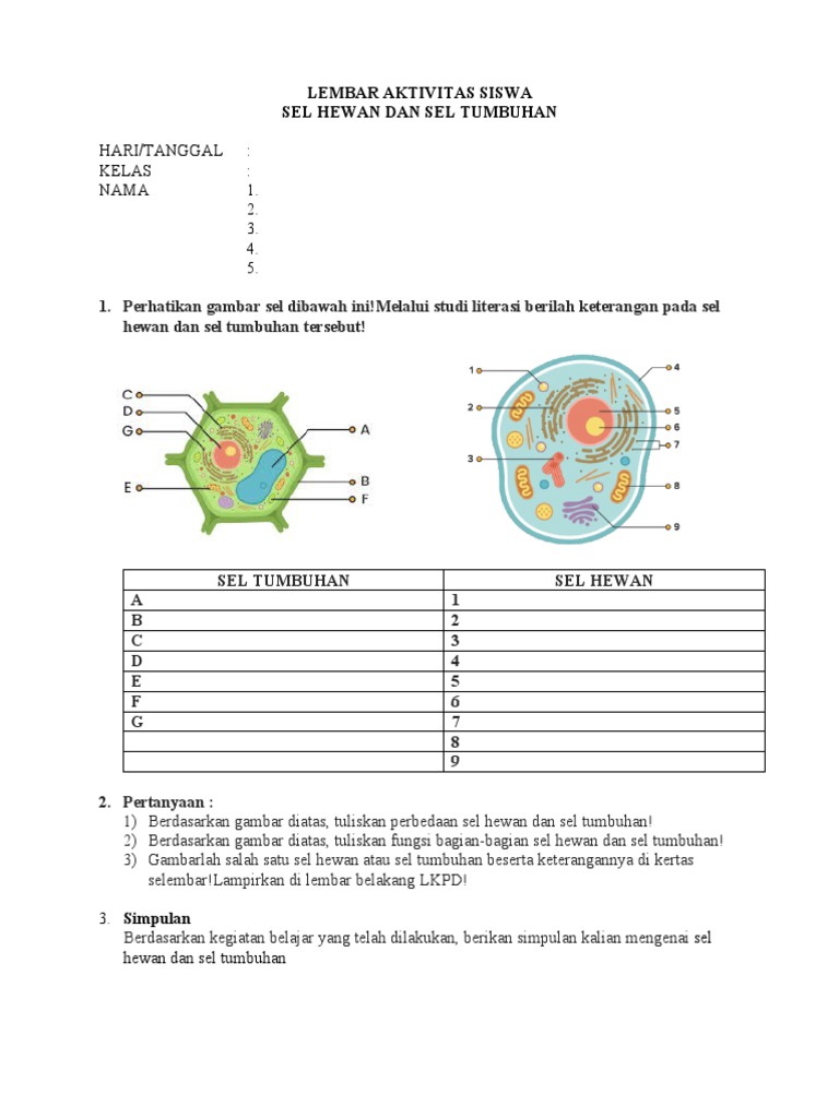 LKPD Sel Hewan Dan Sel Tumbuhan | PDF