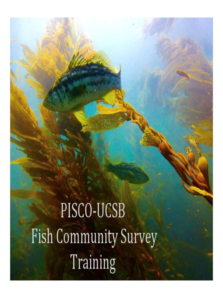 PISCO Fish Training Overview UCSB-2017 | PDF | Scuba Diving | Ecology