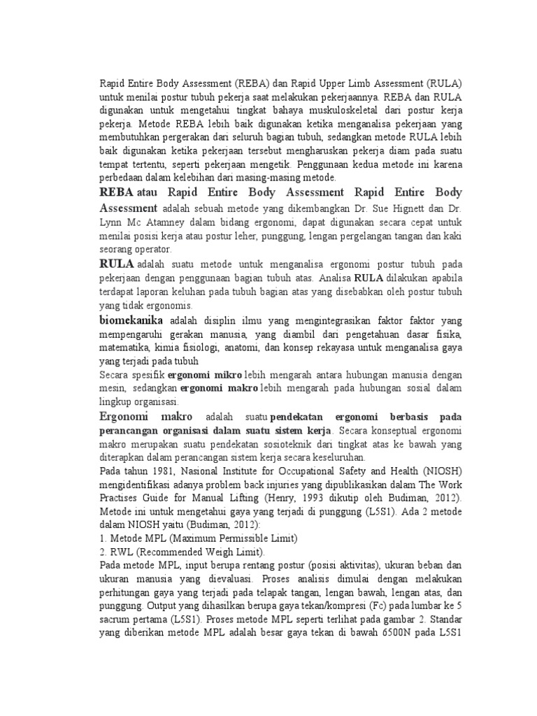 Rapid Entire Body Assessment | PDF