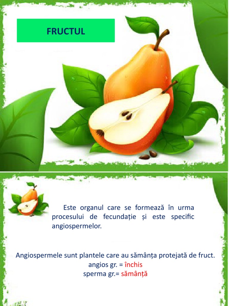 Tipuri de Fructe 5.ppsx | PDF