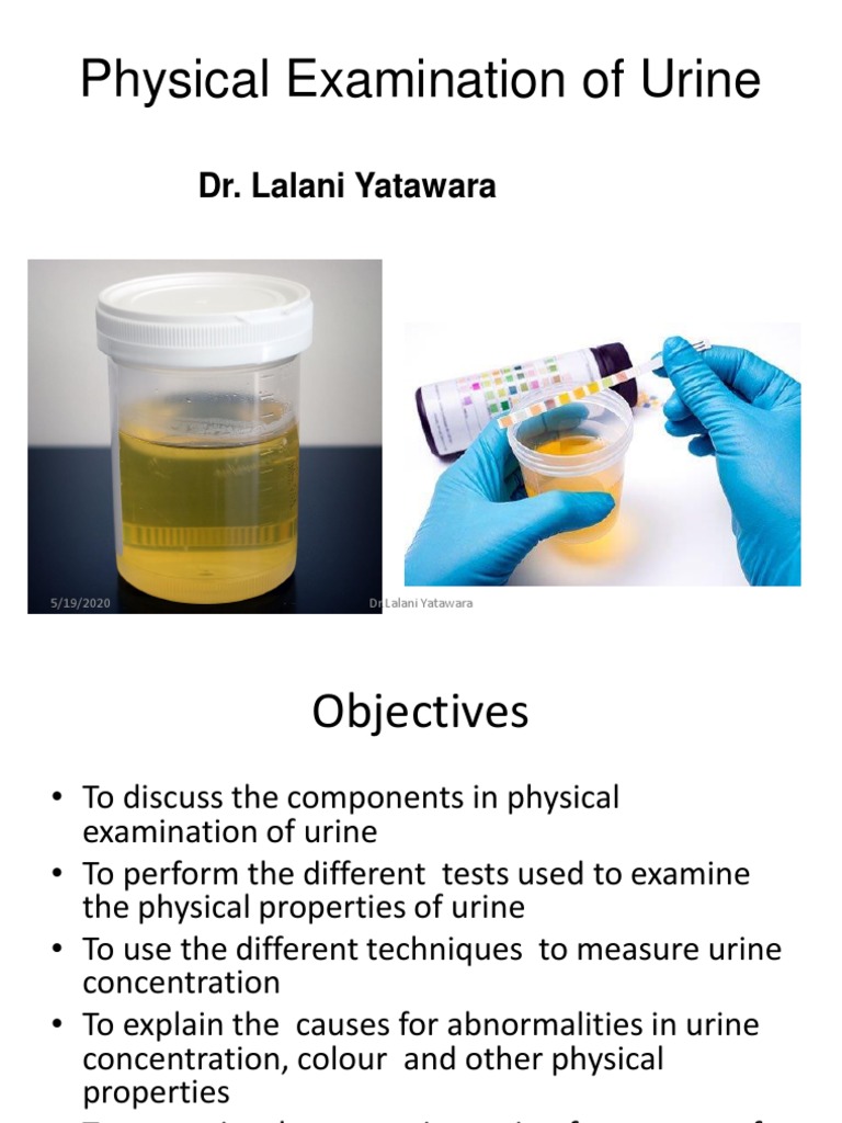Urinalysis Guide for Clinicians | PDF | Urine | Clinical Medicine