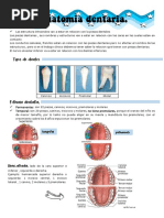 Anatomía de la Región Maseterina | PDF | Salud y bienestar