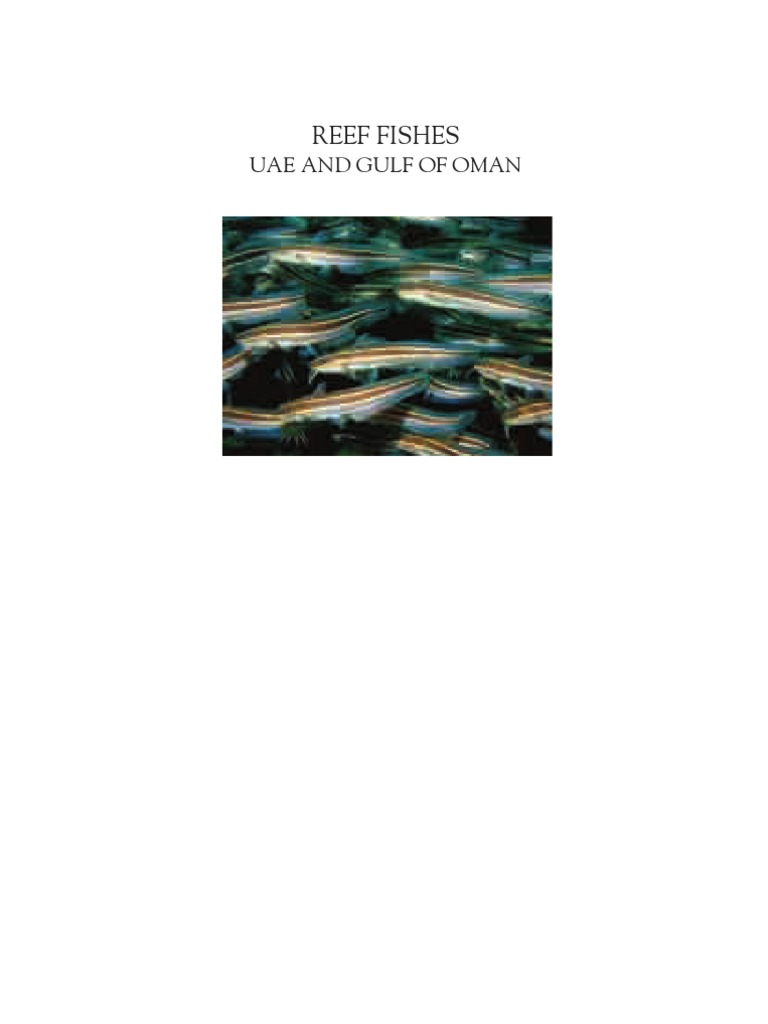 Reef Fishes - UAE and Gulf of Oman | PDF | Genus | Fish