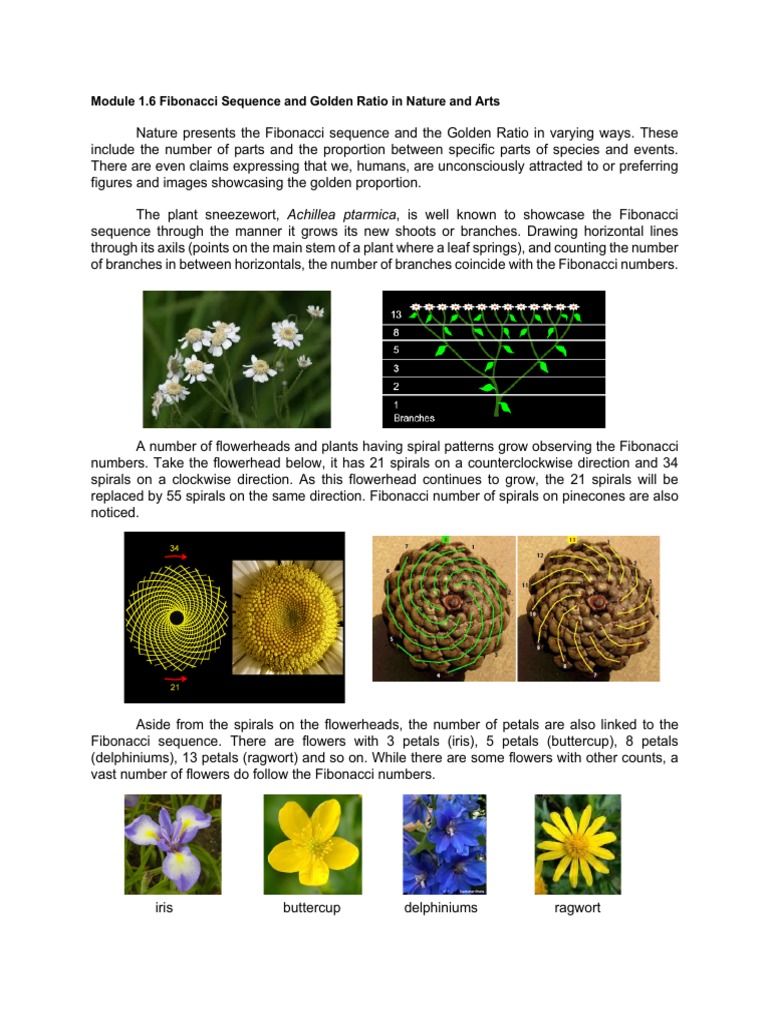 Module 1.6 Fibonacci Sequence and Golden Ratio in Nature and Arts | PDF | Social Science | Art