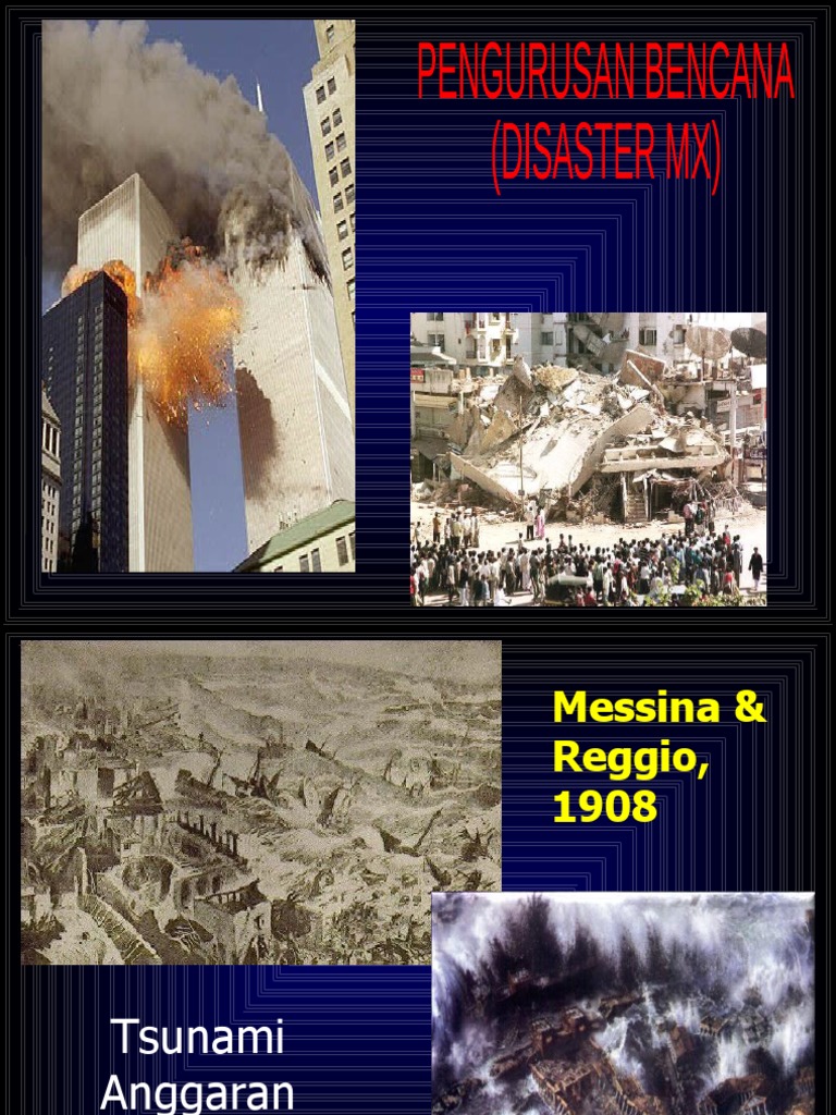 Disaster | PDF