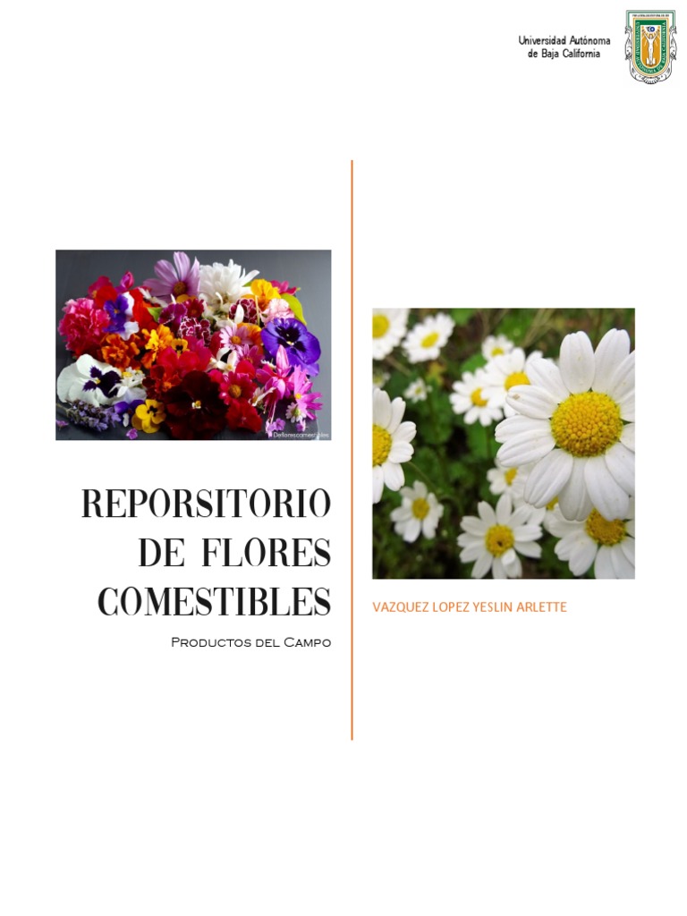 4 Flores | PDF