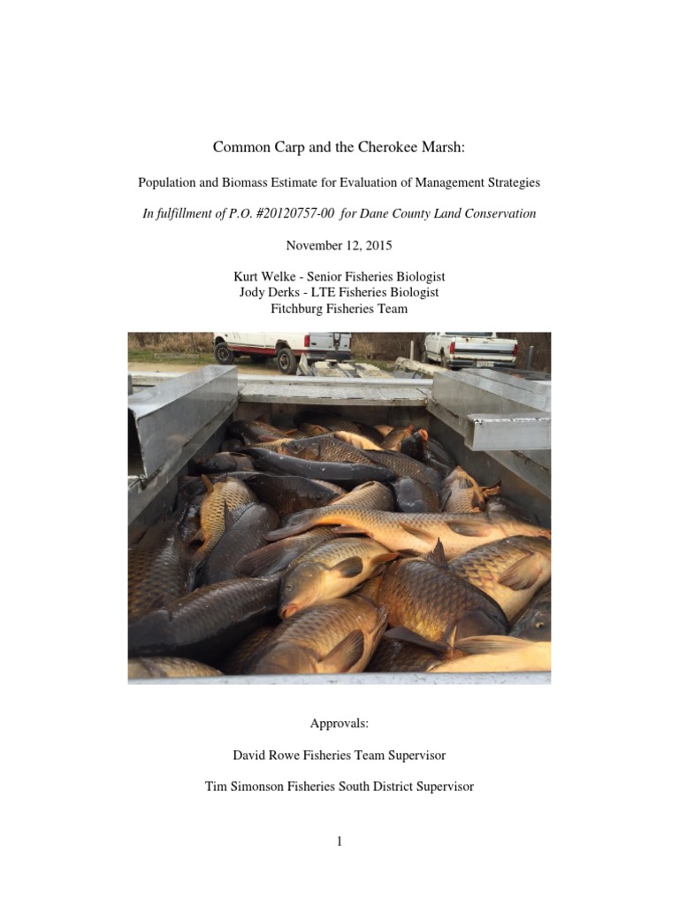 Common Carp and The Cherokee Marsh (PDFDrive) | PDF | Overfishing ...