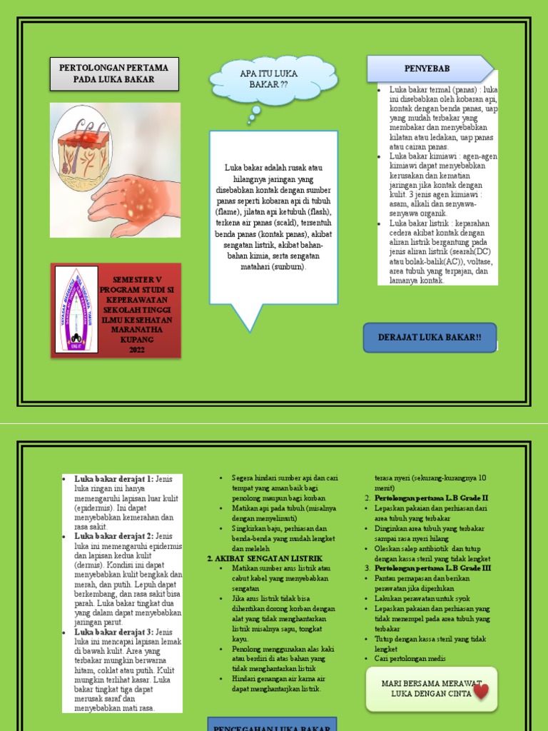 Leaflet Luka Bakar | PDF