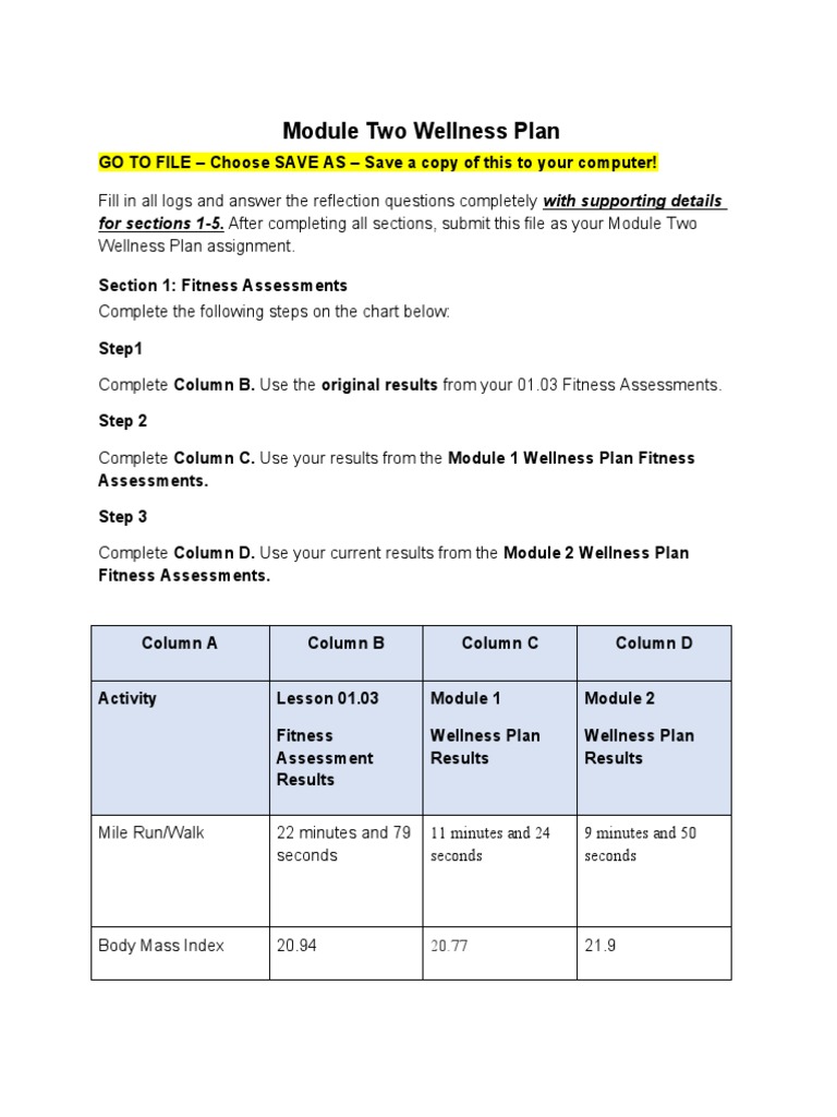 Module - Two - Wellness - Plan Module 2 | PDF
