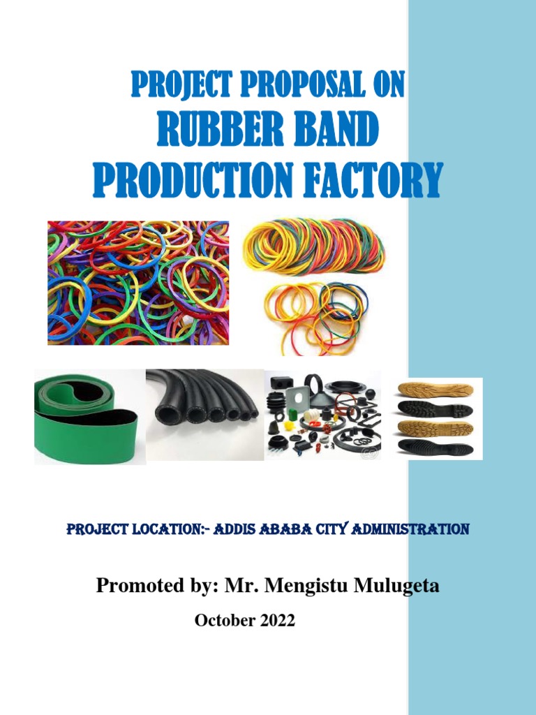 Rubber Products Project | PDF