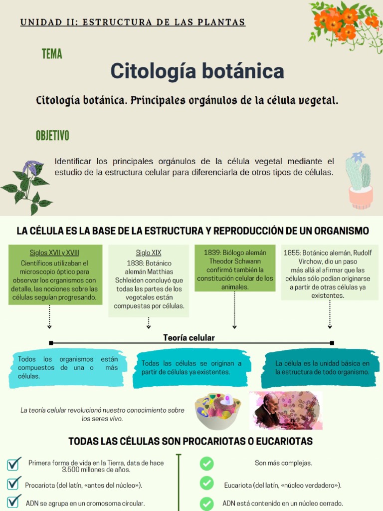 Citología Botánica | PDF