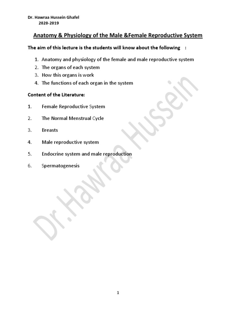 Anatomy Physiology of The Male Female Reproductive System | PDF ...