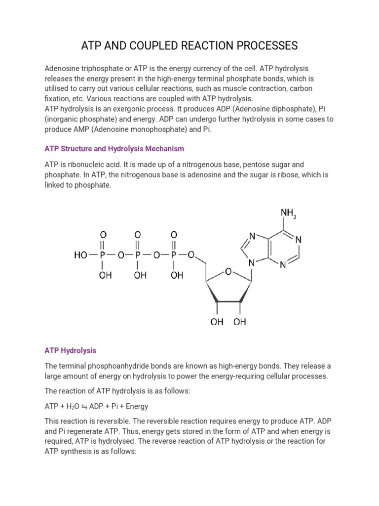 Atp and Coupled Reaction | Download Free PDF | Adenosine Triphosphate ...