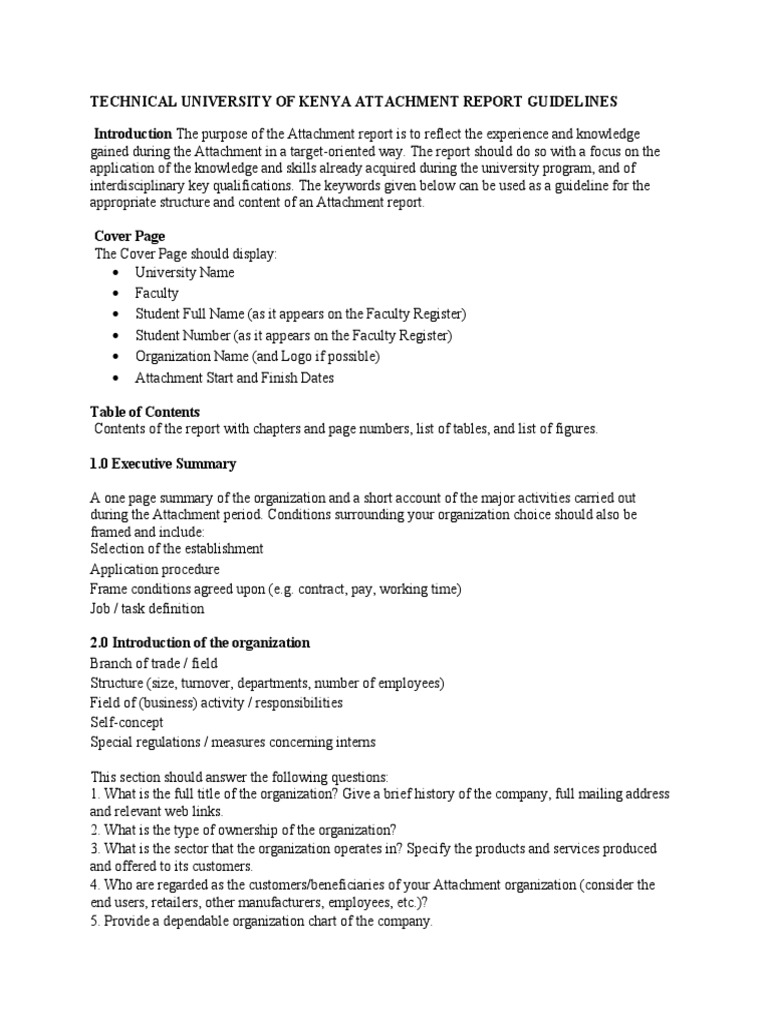 Attachment Report Guidelines-1 | PDF | Attachment Theory | Mentorship