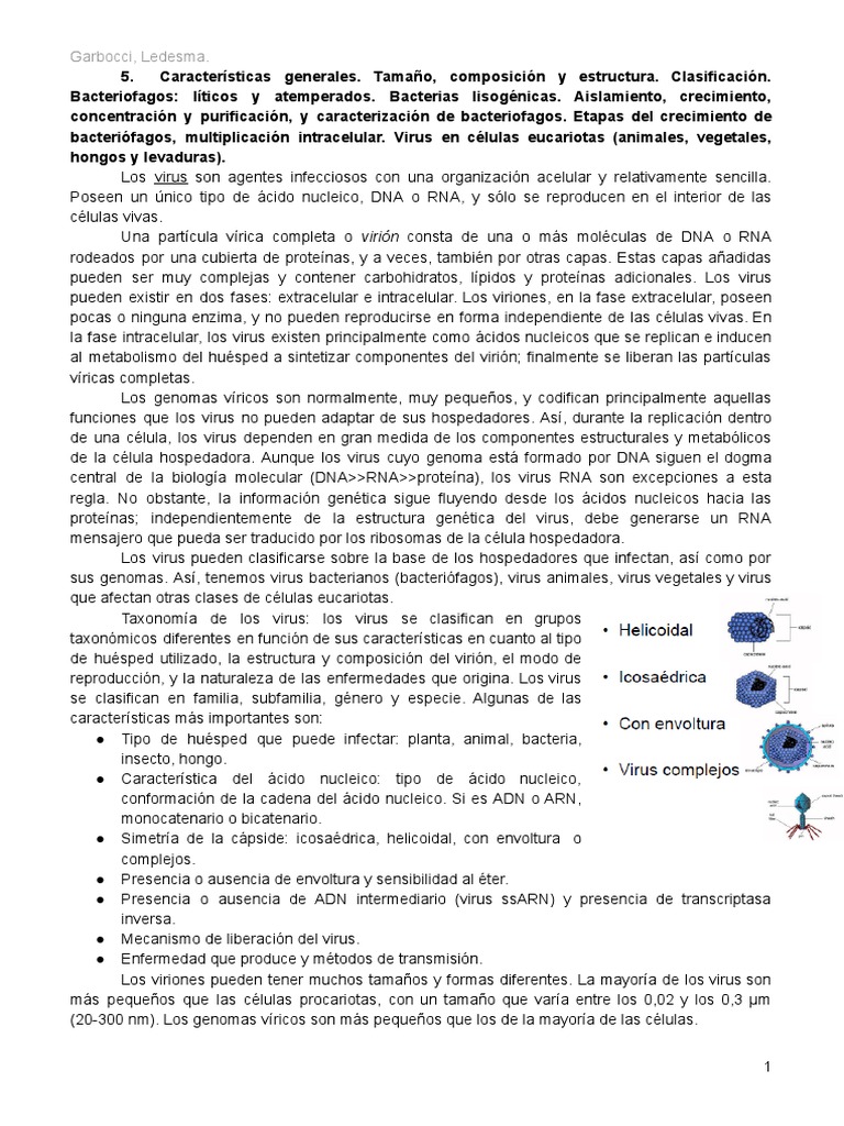 Unidad 5 - Los Virus | PDF | Virus | Bacteriófago