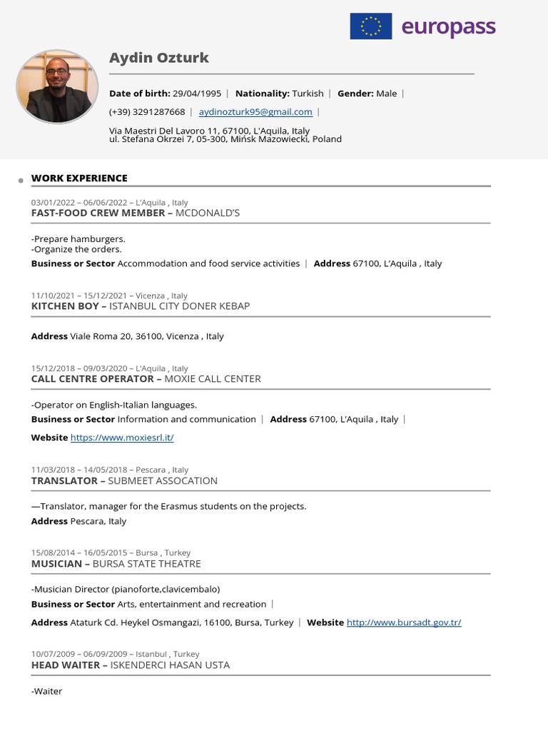 CV - Aydin Ozturk | PDF | Cognition | Human Communication