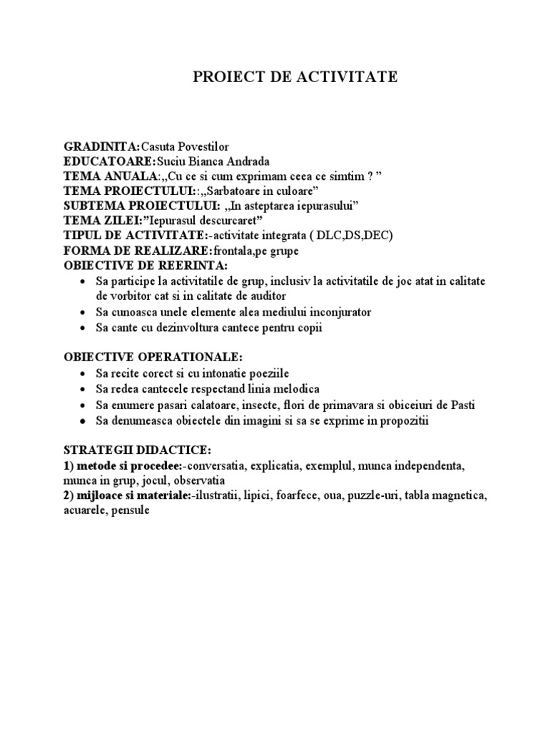 Plan de Activitate | PDF