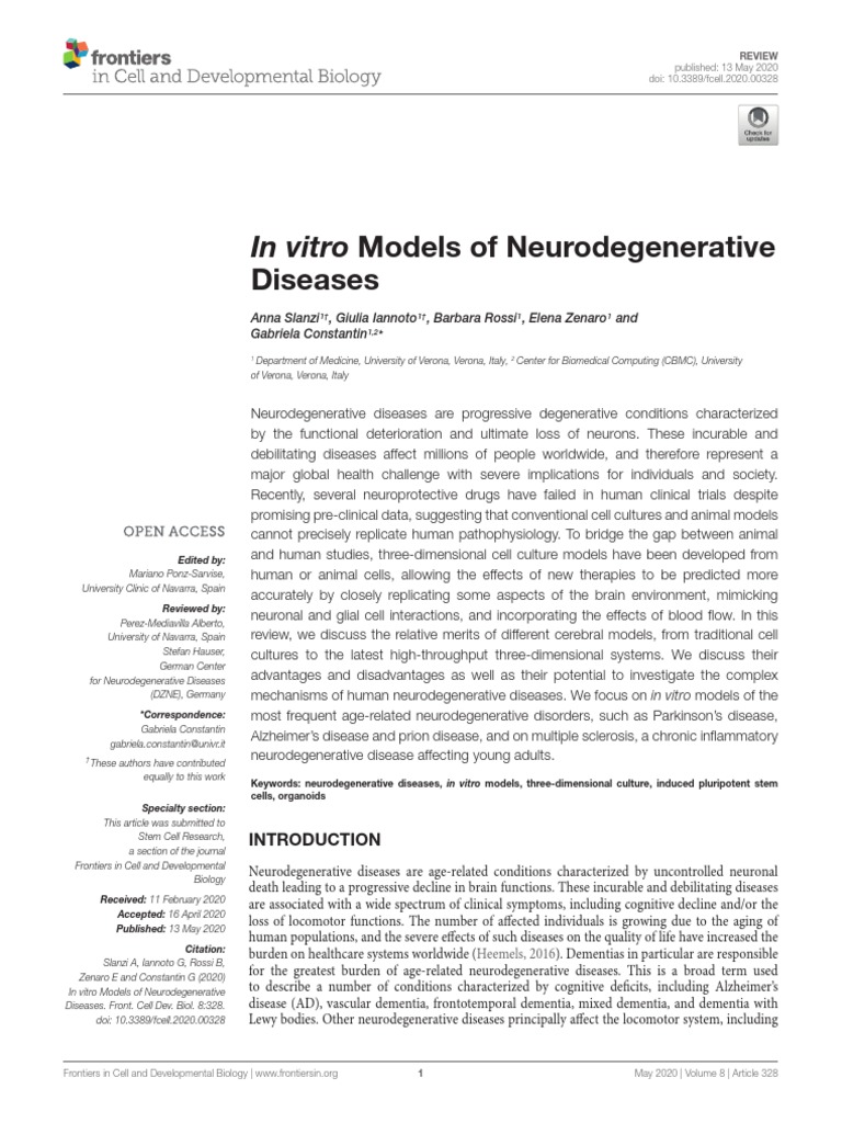 In Vitro Models of Neurodegenerative Diseases | PDF | Dementia | Neuron