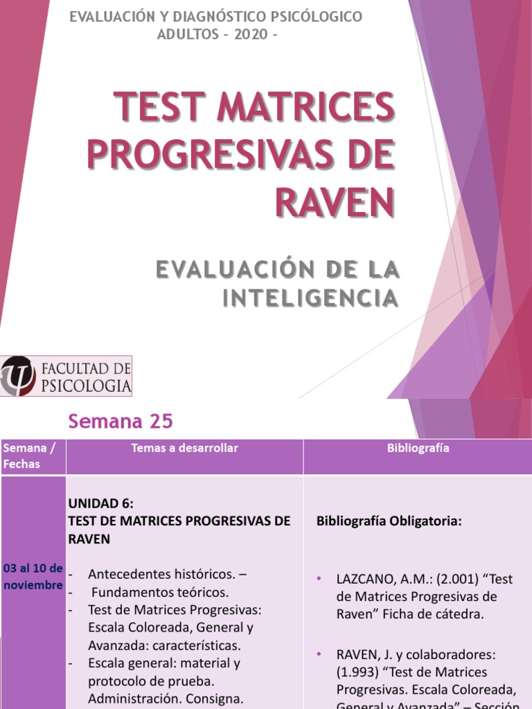 Clase 25 Test Matrices Progresivas de Raven (D) | PDF