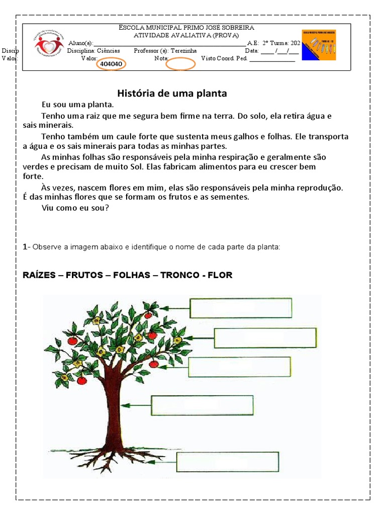 Aval. Ciências 3° Bimestre | PDF