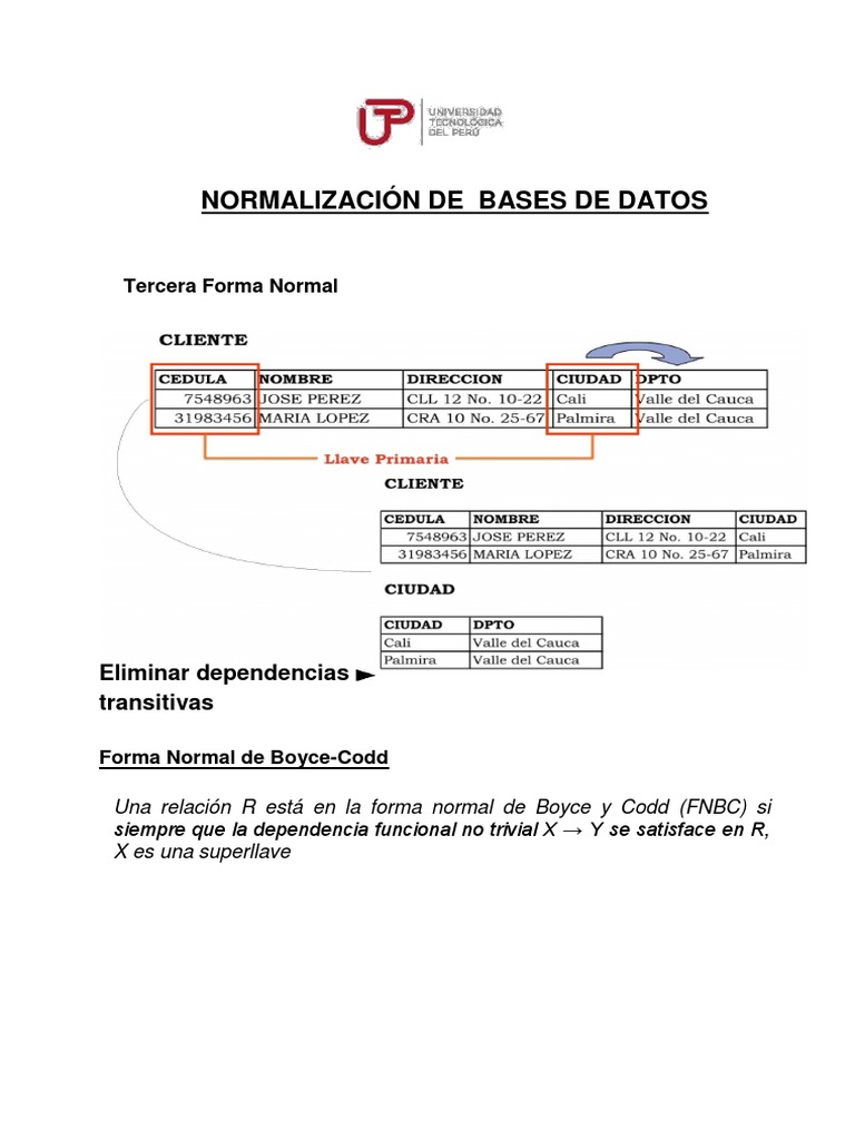 Normalizacion de Datos - 4,5 FN | PDF | Motores generales