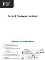 Feeds and Feeding in Buffalo | PDF | Calf | Animal Feed