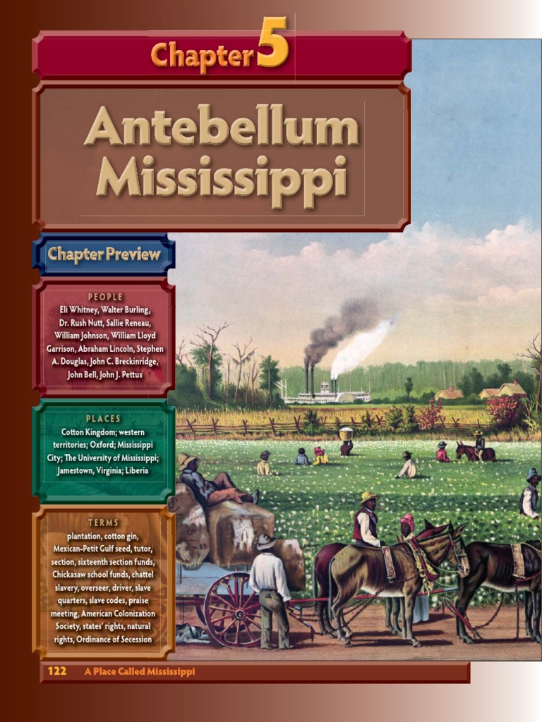 Chapter 5 Book-1-1-1-1 | PDF | Slavery | Mississippi