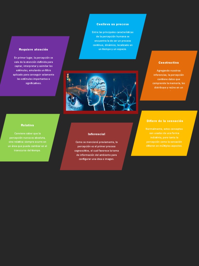 INFOGRAFIA | PDF | Percepción | Procesos mentales