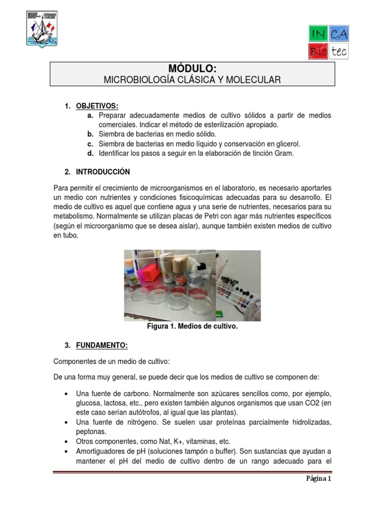 Fabiola Pinto Modulo 01 Microbiologia Clasica | PDF | Bacterias Gram Positivas | Microbiología
