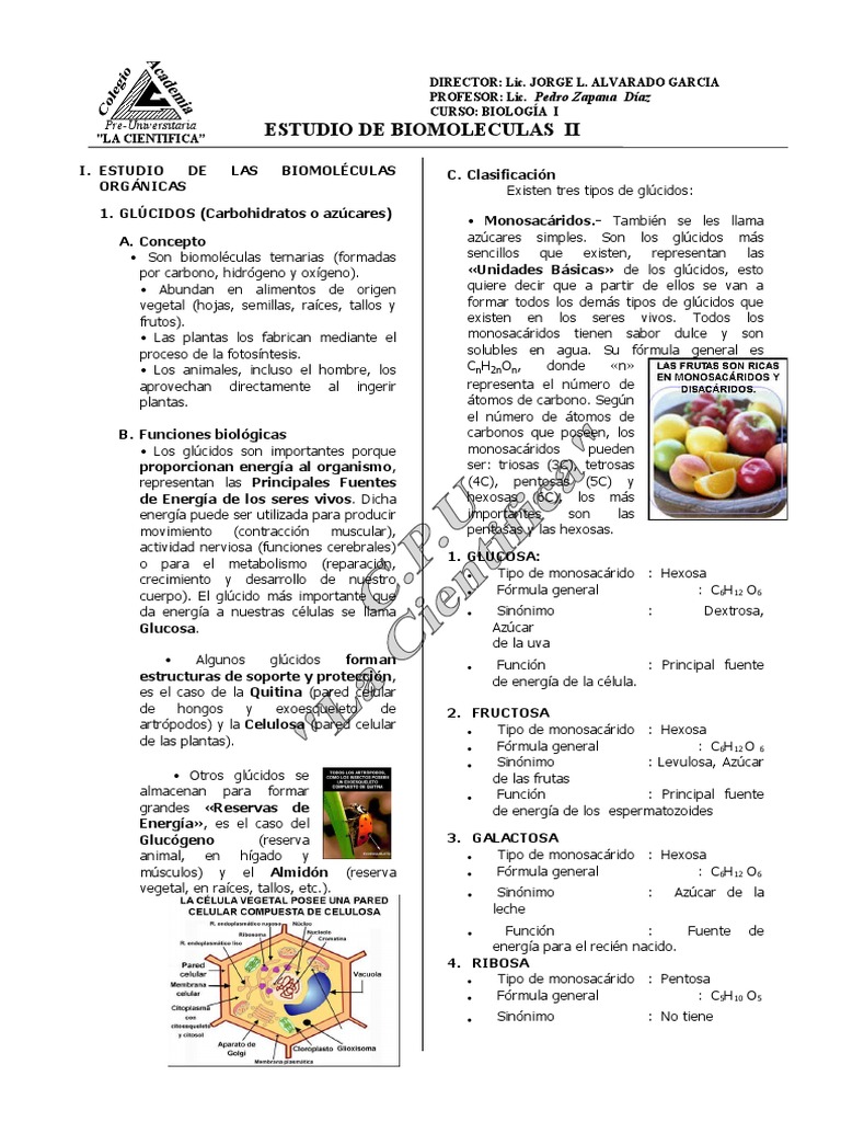 L.C - 2021-Biomol Orgánic - Preu - Autoev 3 y 4 | PDF | Glucosa | Lípido