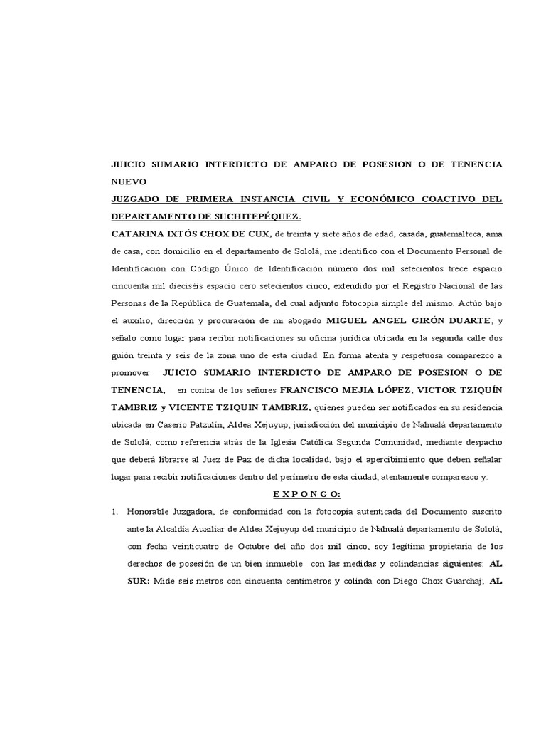 Demanda Sumaria Interdicto de Amparo de Posesion y Tenencia Caso ...