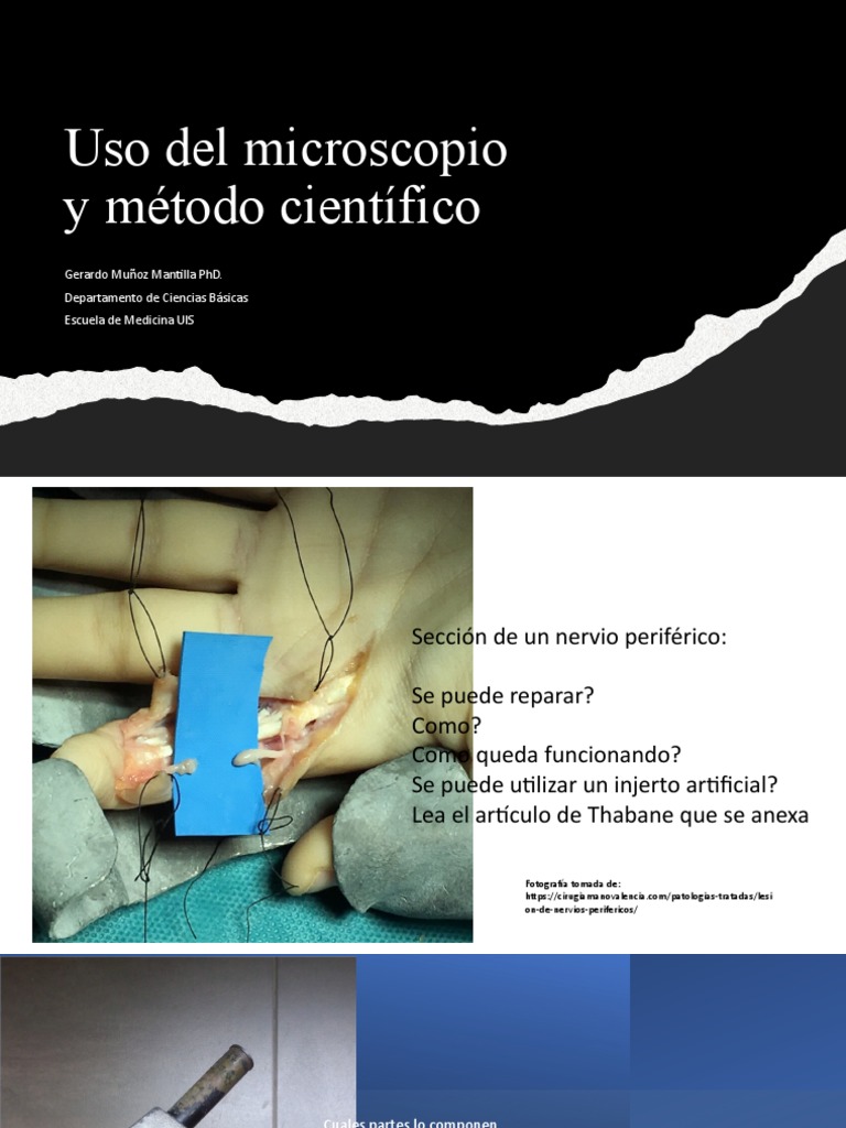 Germun - Uso Del Microscopio y Método Científico | PDF