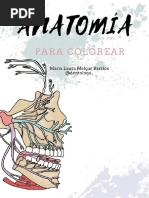 Quiroz - Libro de Anatomía Humana | PDF