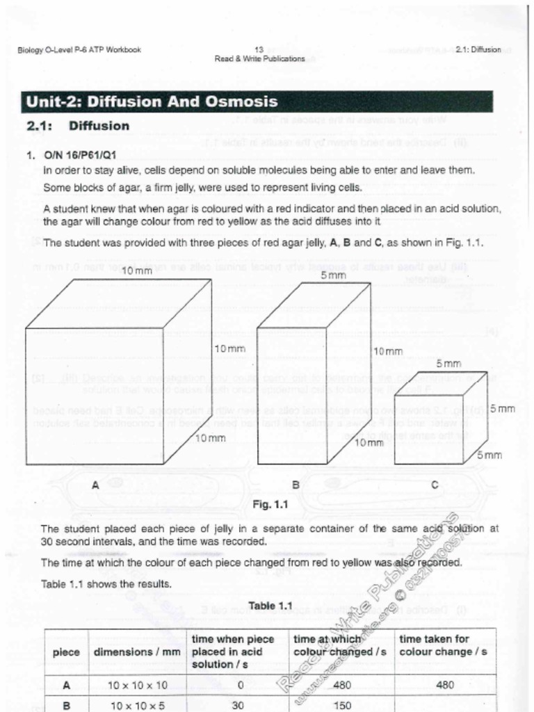 Unit 2 Diffusion&Osmosis | PDF