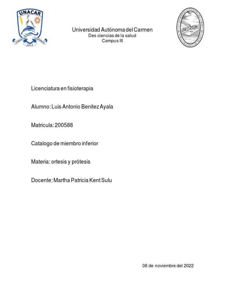 Protesis Miembro Inferior | PDF | Pie | Tobillo