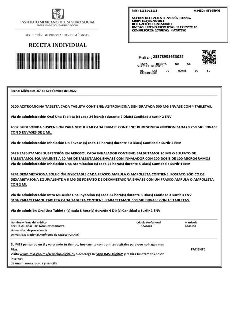 Editable Imss | PDF