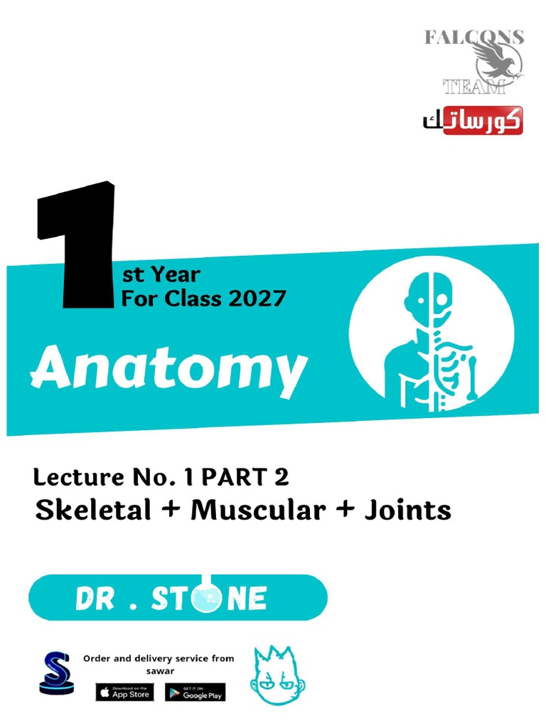 Anatomy Lec 1 Part 2 Skeletal Joints Pdf