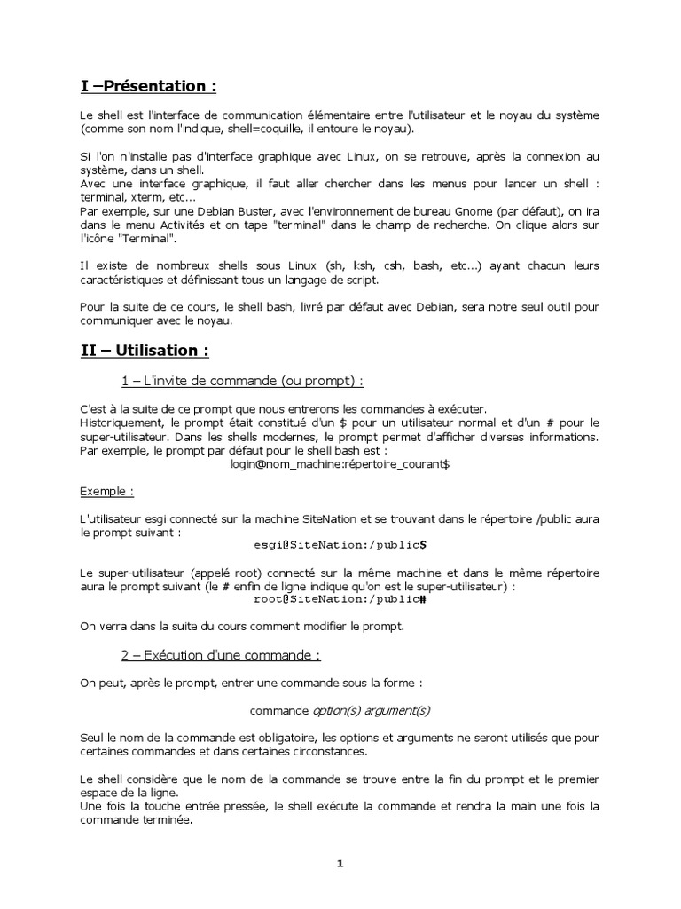 Chapitre 2 - Utilisation Du Shell | PDF