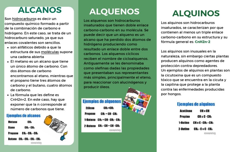 Características de los alcanos, alquenos y alquinos: estructuras ...