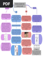Test de Schober | PDF