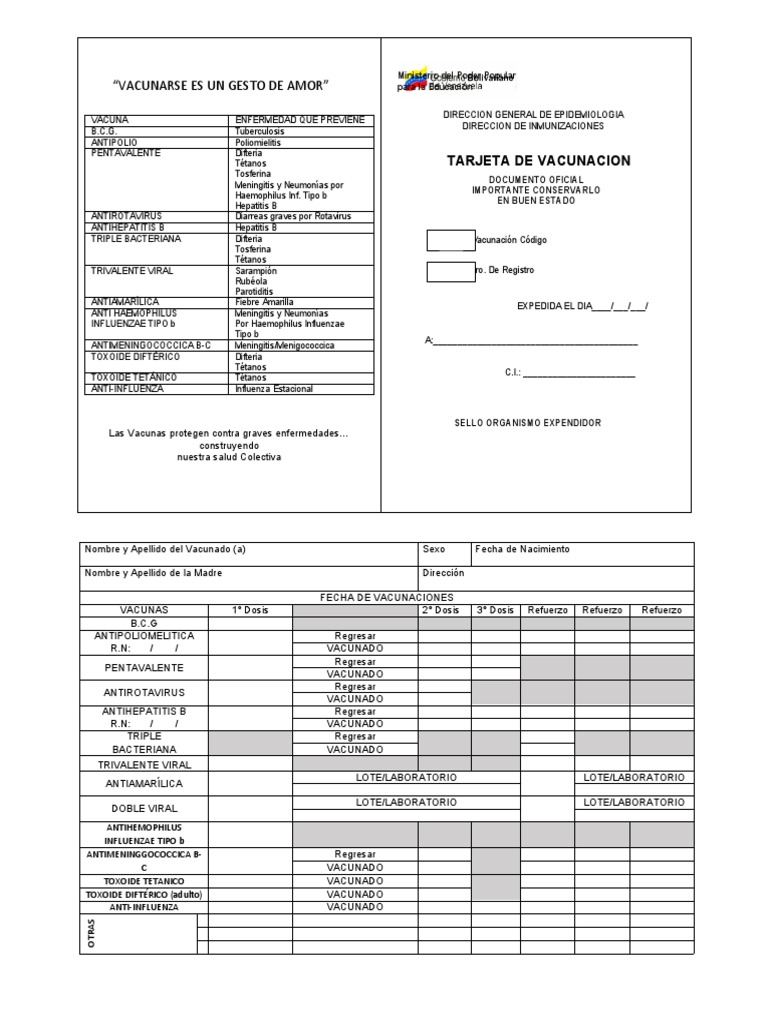 Tarjeta de Vacunacion | PDF | Vacunas | Vacunación