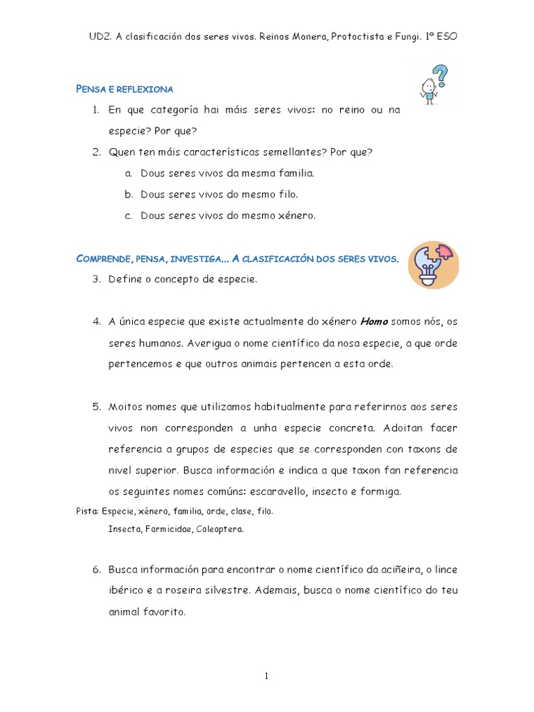 Actividades UD2 | PDF